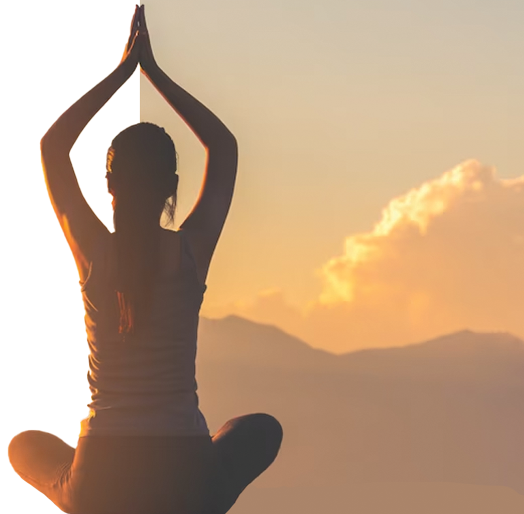 Contact us | Sanjeewanie Ayurveda